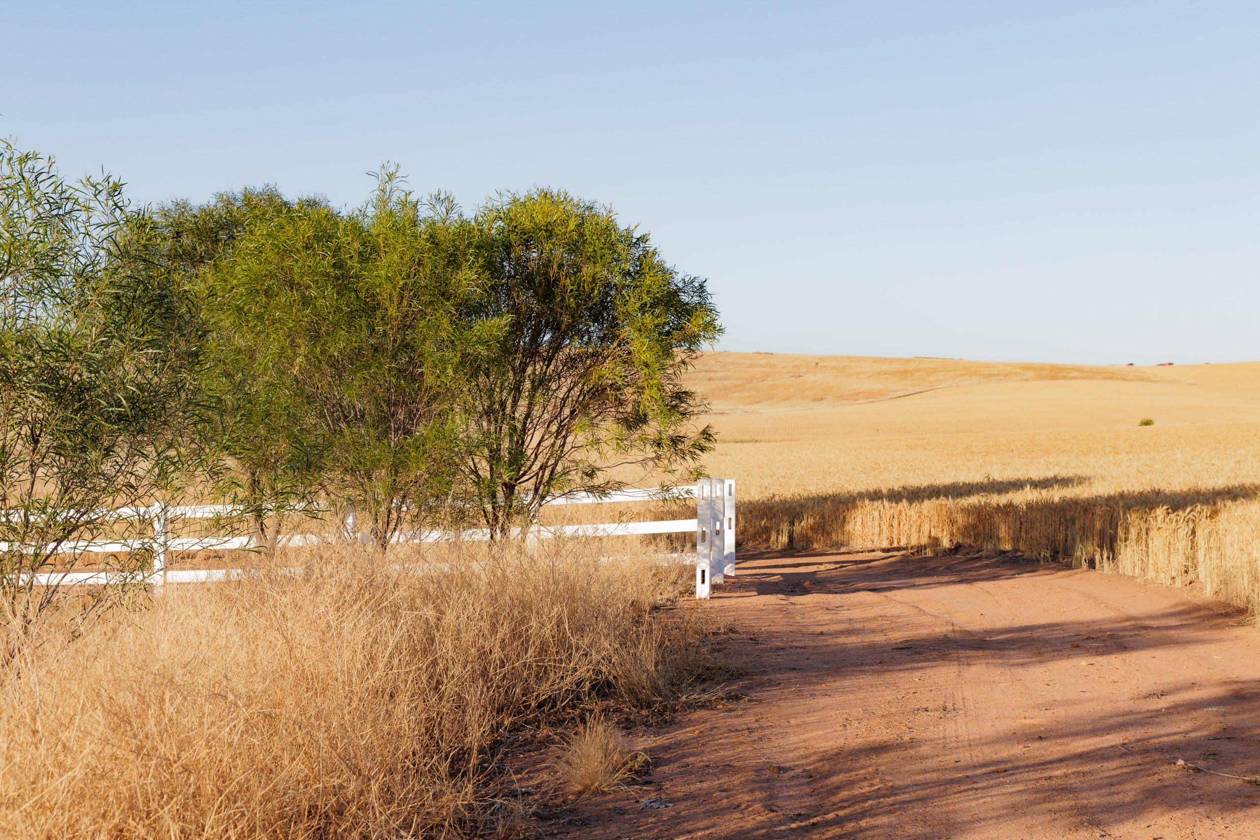The Carbon Market: Friend Or Foe? - TerraWise